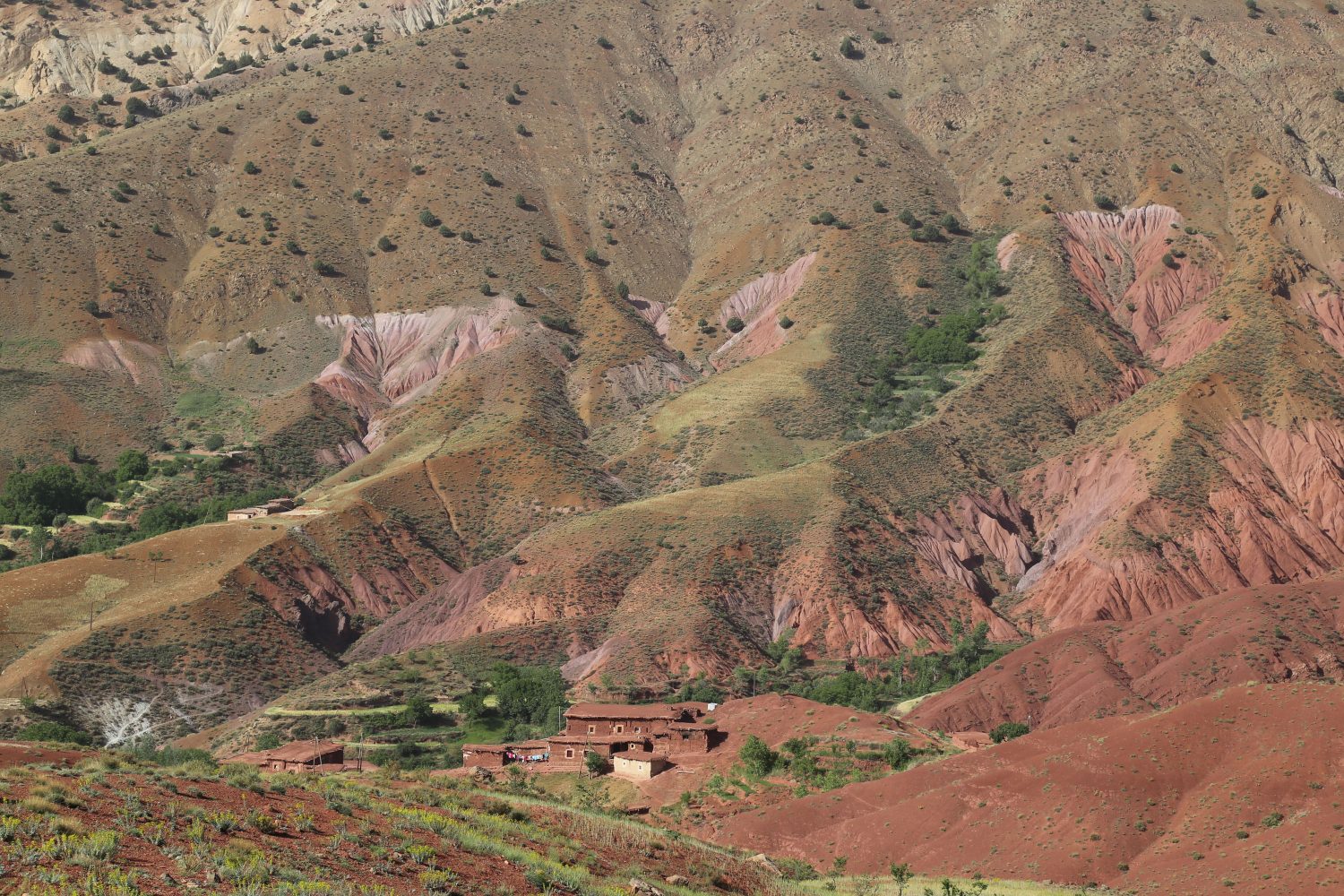 Cultural Tours - Temple Rugs